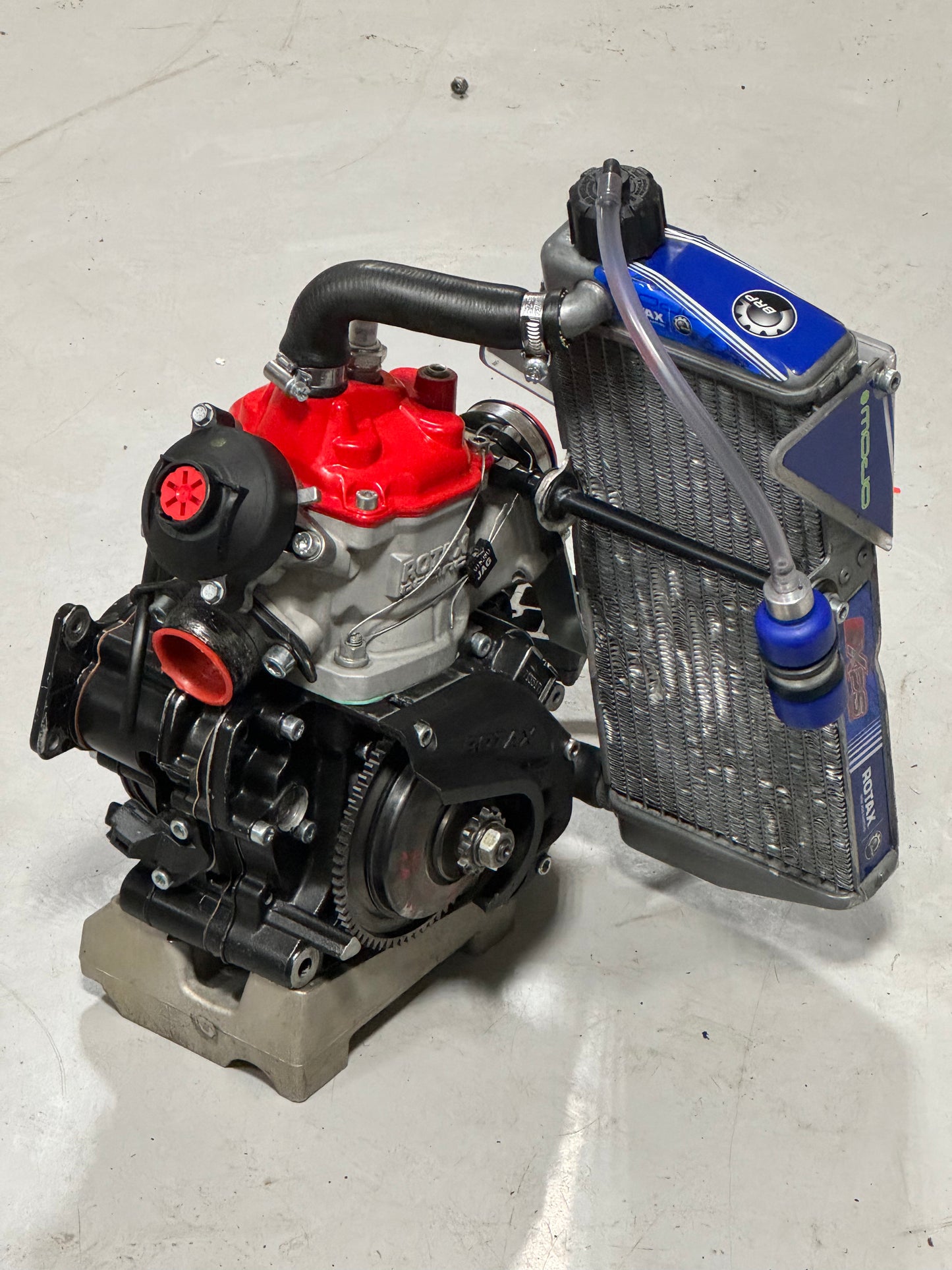 Senior Rotax Max Evo Engine - Fresh – Used Kart Shop